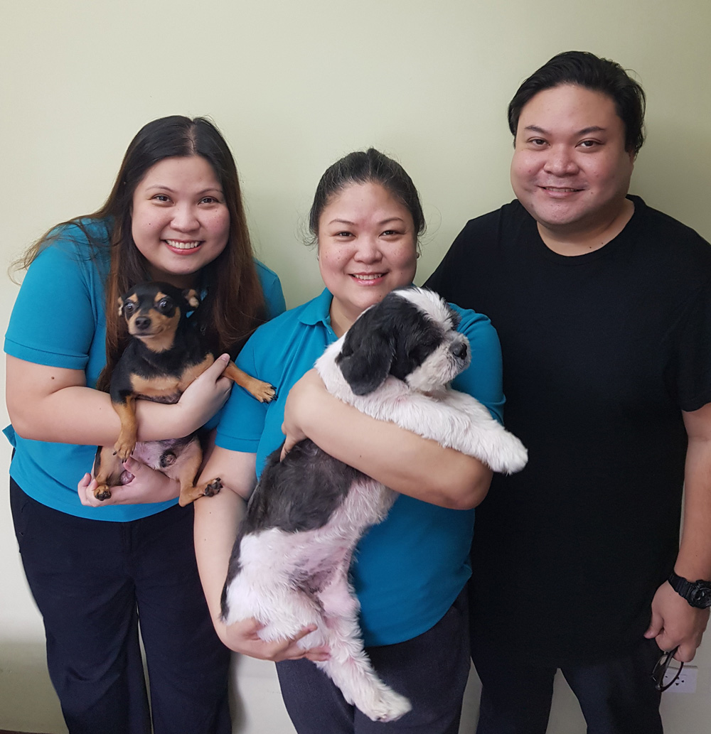 The Pan Bakeshoppe: the café that came straight out of a childhood memory